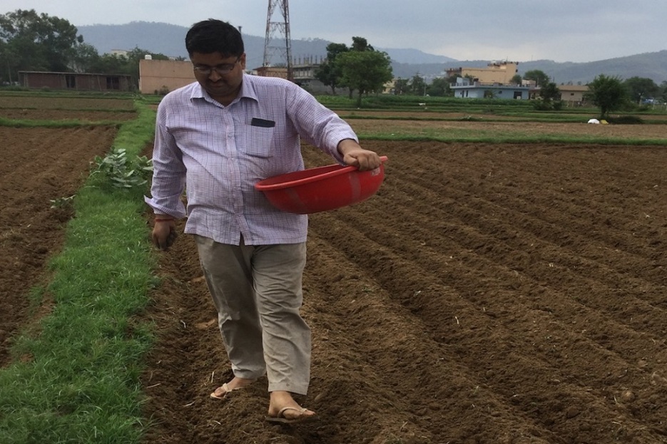 Package of practices Ginger production